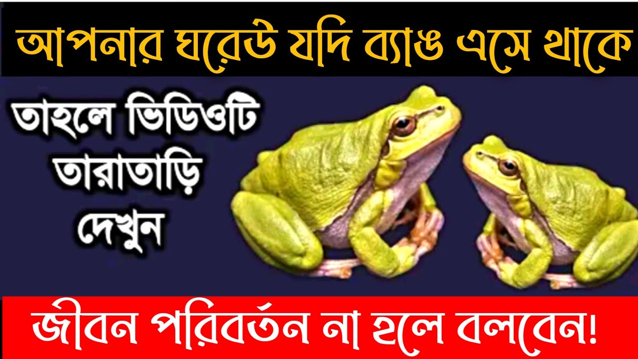ঘরে ব্যাঙ ঢুকলে কি হয়? আল্লাহ ব্যাঙ কেন সৃষ্টি করলেন? Frog In Islam ...