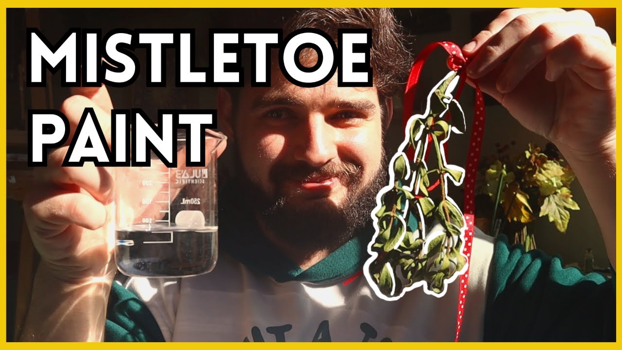 I turned Mistletoe into Paint - YouTube