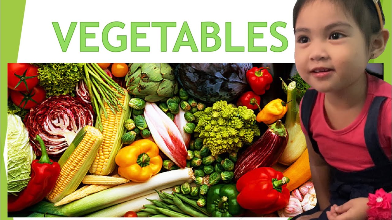 DIFFERENT TYPES OF VEGETABLES | BASIC LEARNING FOR KIDS | VEGETABLES ...