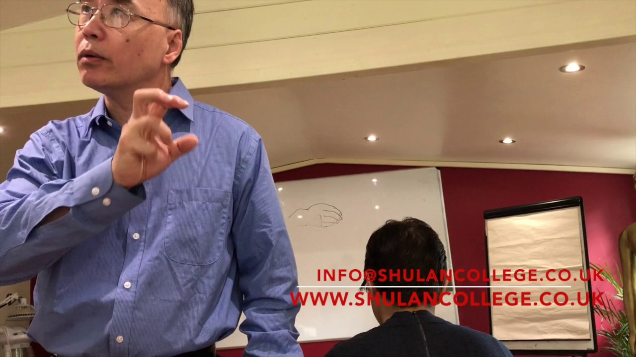 Shulan College of Chinese Medicine - Tuina Class 15.04.2017 - YouTube