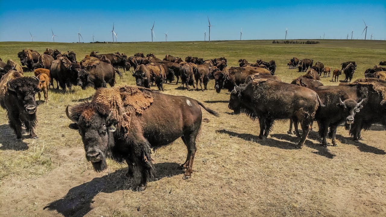 The Highest Point in NEBRASKA | Panorama Point - YouTube