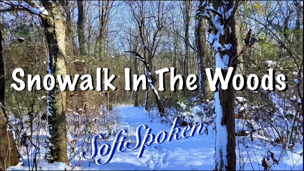 ASMR Snow Walk in the Woods (Soft Spoken)Crunchy footsteps/Nature ...