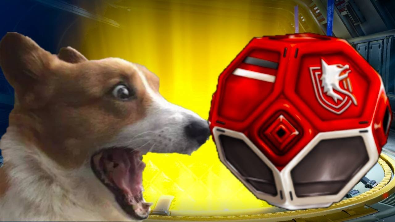 WILL MY CORGI BRING ME GOOD LUCK IN MY DROP OPENING!! Rocket League ...