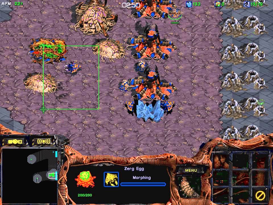 스타크래프트 빨무 1:1 랜랜전! 저그 폭풍러쉬?!!! (StarCraft BW Fastest Map 1vs1 RvsR play ...