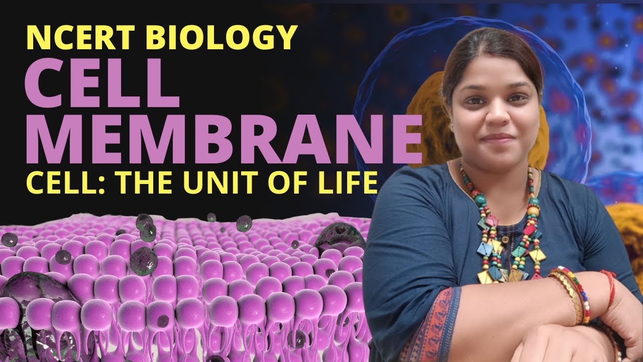 Cell membrane | Eukaryotic cell | Class 11 | Biology | Cell the unit of ...