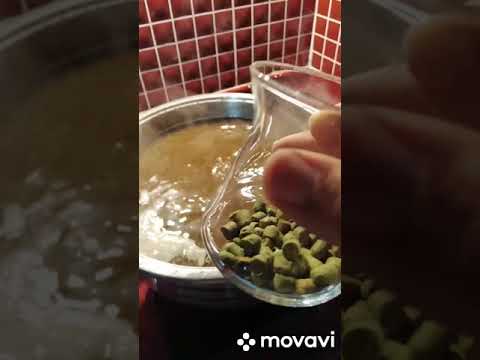 Evde bira yapımı (AMERICAN LAGER) pirinç birası