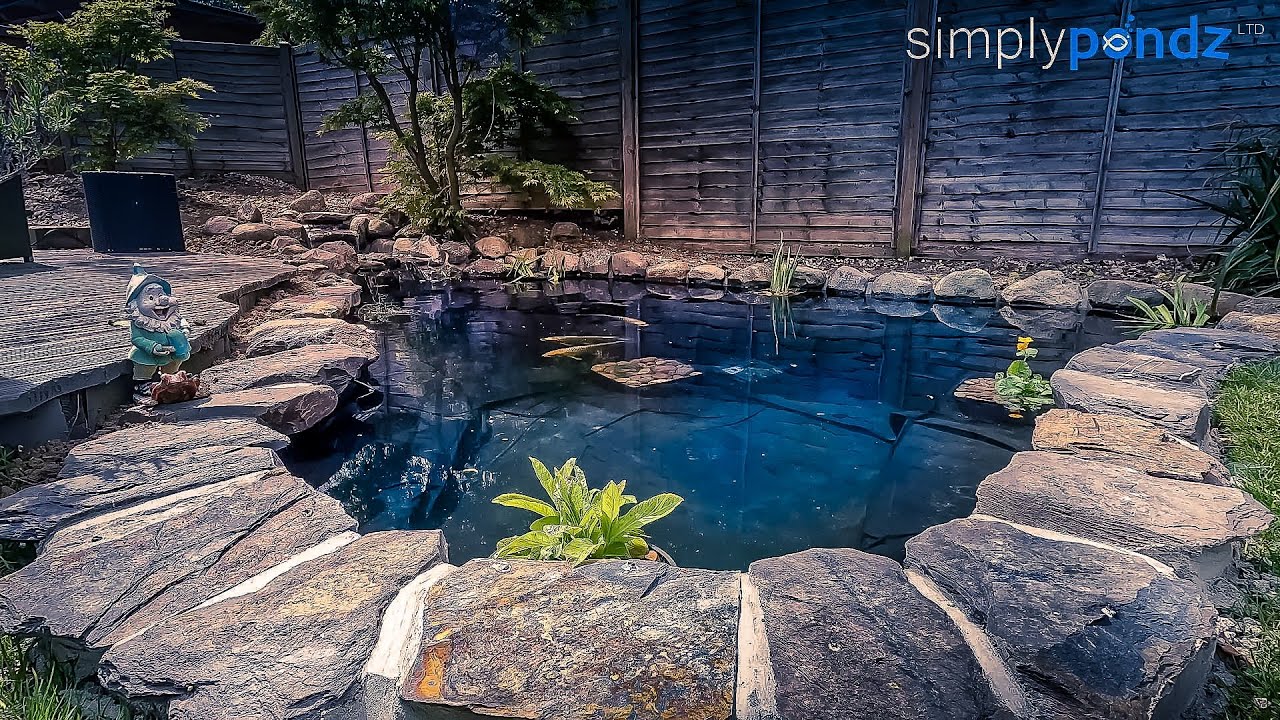 Full Pond Renovation with Waterfall - Time lapse - YouTube