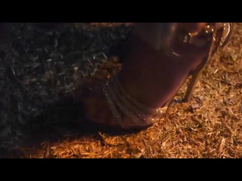 Girl unknown can*did trample step on heels 👠 |  Funny 🤣  | (lfl - 238)