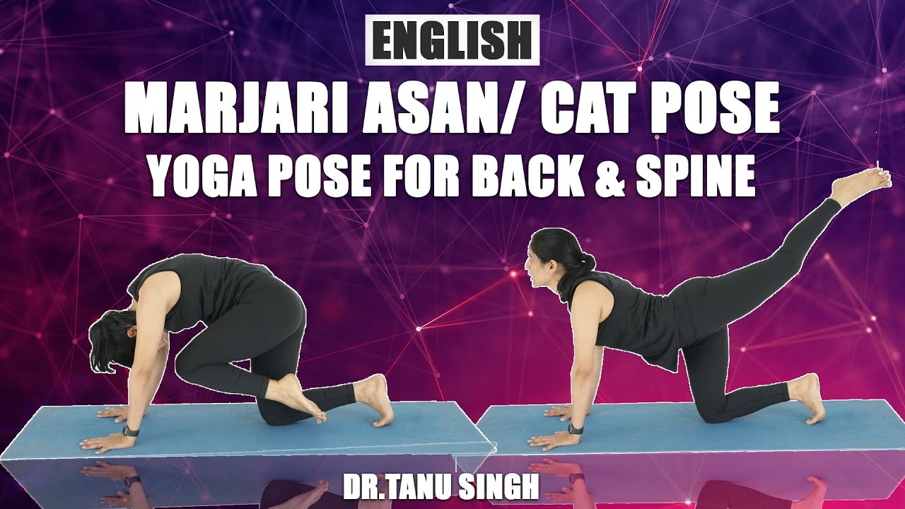 Best Yoga Pose For Flexibility- Sequence of Marjari Asana | Cat Cow ...