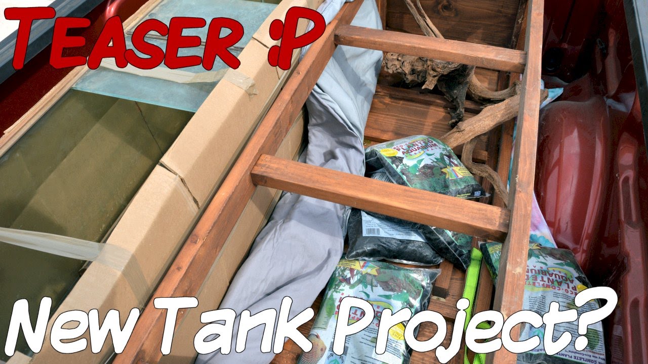 Teaser - New Tank Project? - YouTube