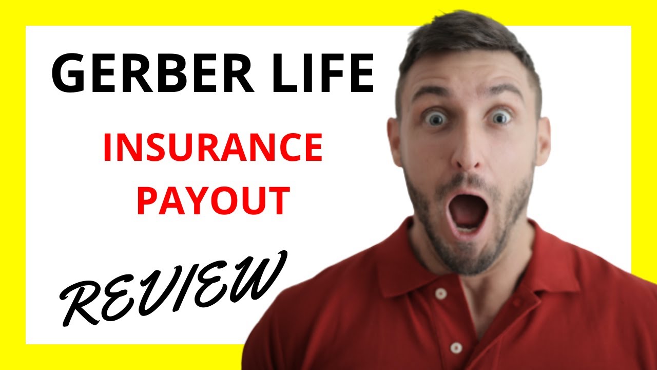 Gerber Life Insurance Payout Review: Reliable and Transparent Benefits ...