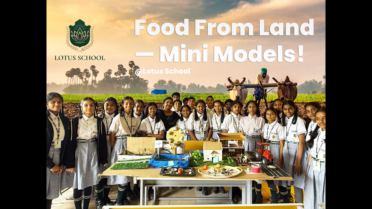 How Food Is Produced: 8th Grade Mini Models | Lotus School Science ...