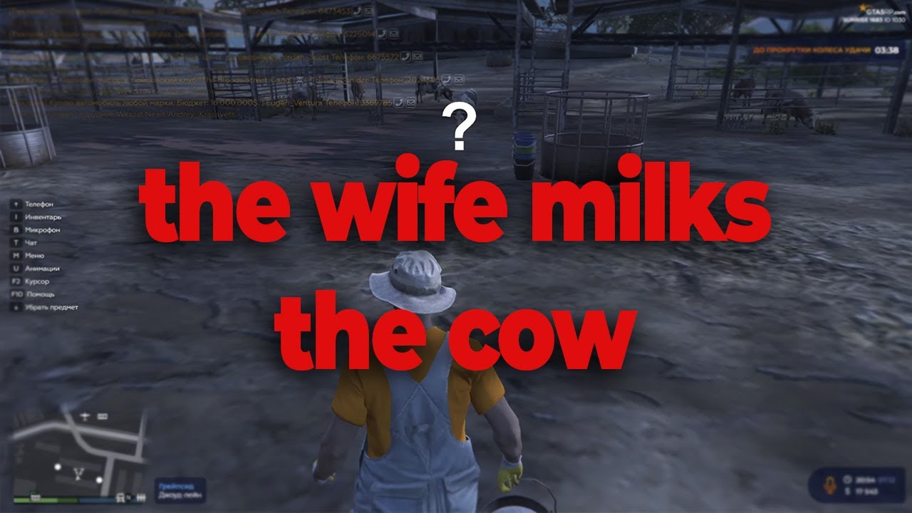 The wife is milking the cow! On the farm in GTA 5 RP / 老婆在给牛挤奶！ 在GTA5RP ...