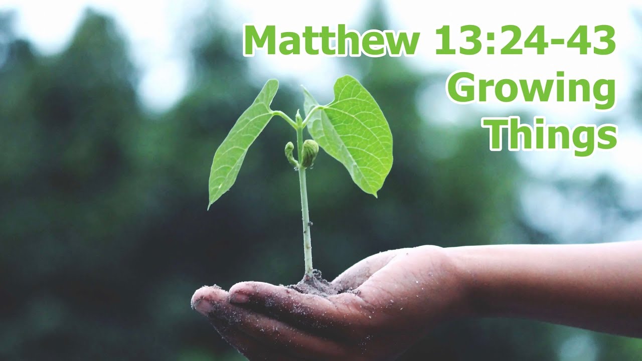 Matthew 13 24 43 Talk YouTube matthew-13-24-43-talk-youtube