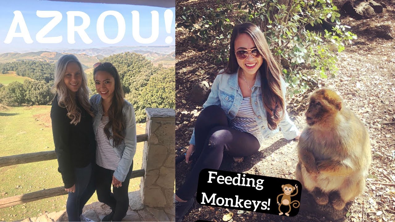 Feeding Monkeys In Africa! | AZROU MOROCCO! - YouTube