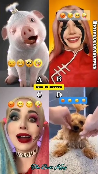 Your Best Choice Pinned Your Comment F0 9f 93 8c Tik Tok Meme Reaction