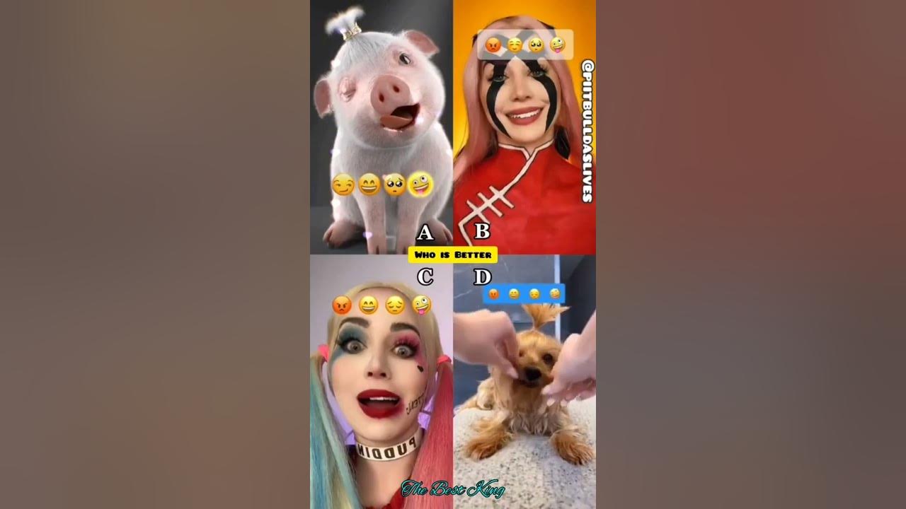 Your Best Choice Pinned Your Comment F0 9f 93 8c Tik Tok Meme Reaction