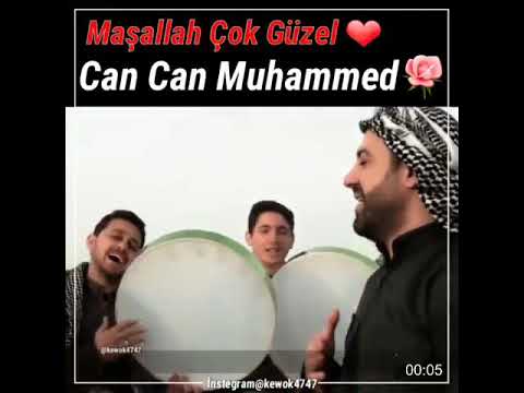 Nurullah kuray can can muhammed