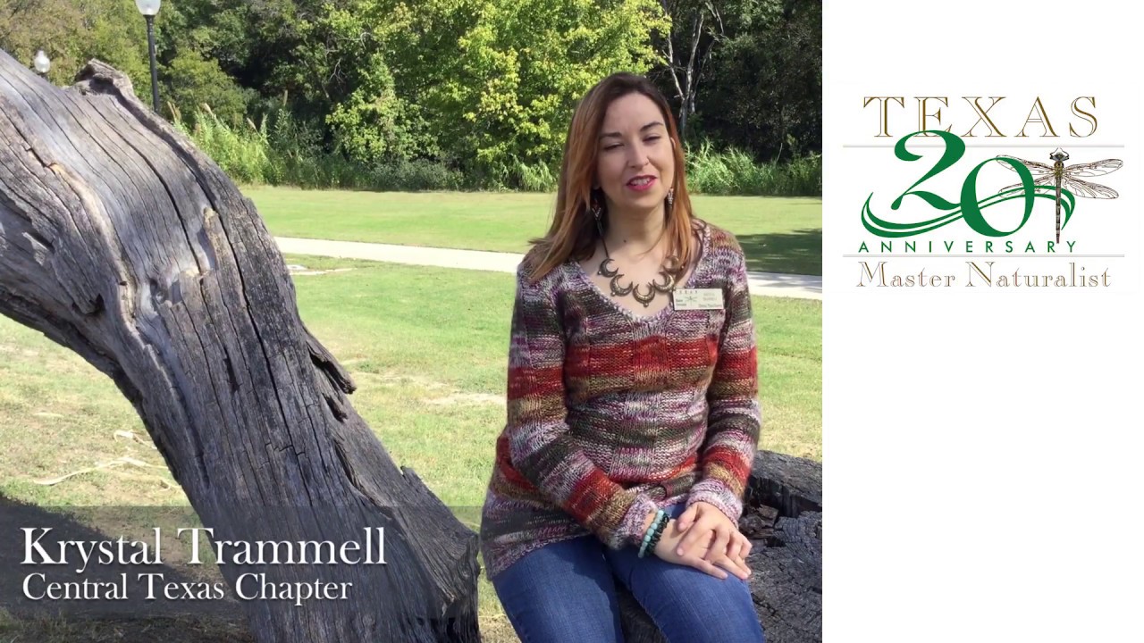 20th Anniversary Snippet - Krystal Trammel - YouTube