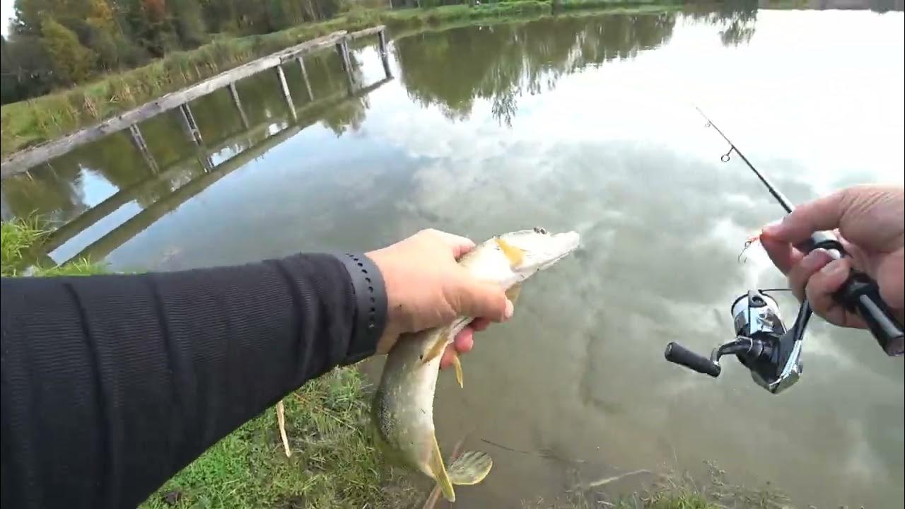 Не мормышинг.Телескопический спиннинг XUL TeleTen (ТeлеТен) NANO SPIN ...