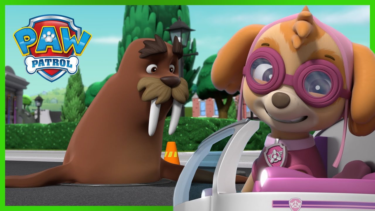 Os Cães Salvam uma Morsa Solitária - Patrulha Pata PAW Patrol Episódio ...