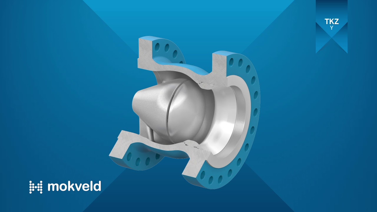 Mokveld - Product animation - Axial check valve - YouTube