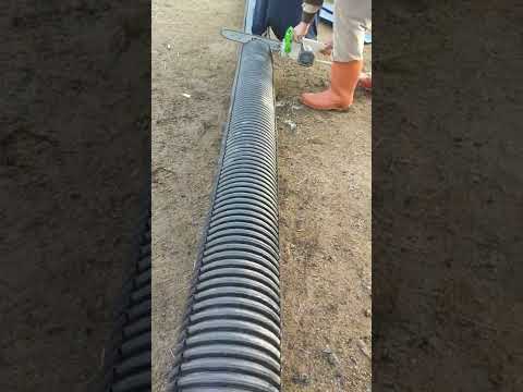 kuzularıma yemlik hazırladım