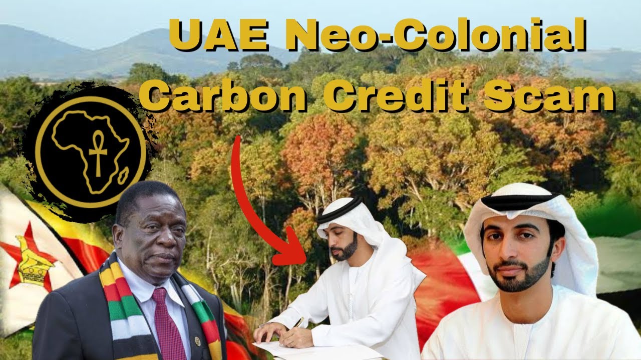 Reaction | The UAE buying up African land for Carbon Credit scam - YouTube
