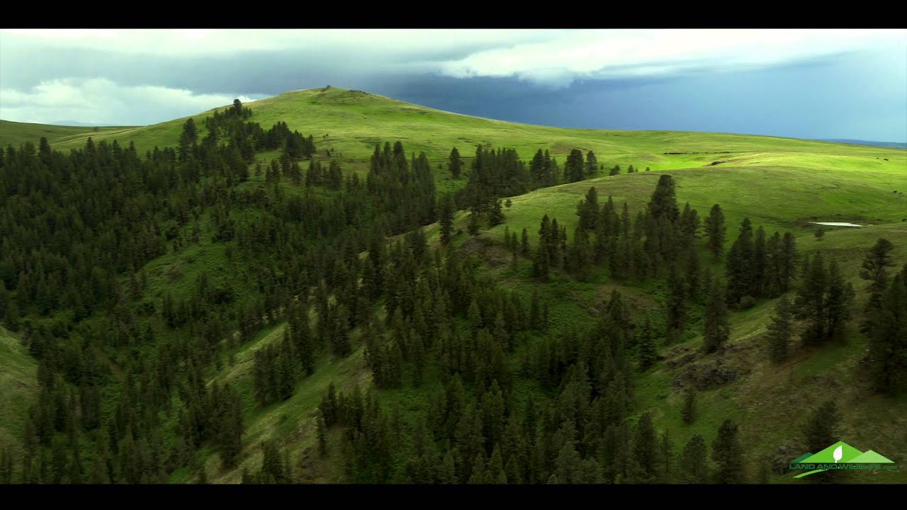 Pocket Ranch - YouTube