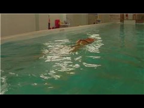 How to Swim the Freestyle Stroke : How to Move Through the Water in ...