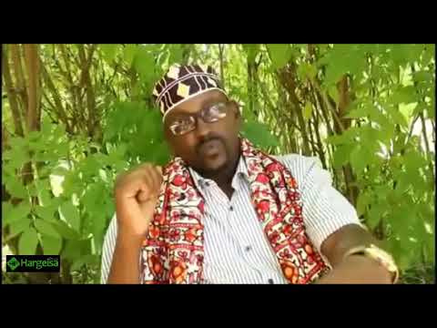 Ugaas Shaaciyay In Baqor Buur Madaw Uu Yahay Hogaamiyaha Jabhada Lagaga Dhawaaqay Sanaag.