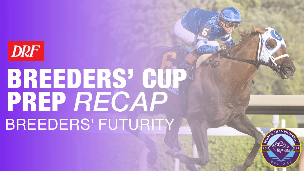 Drf 2025 Breeders Cup