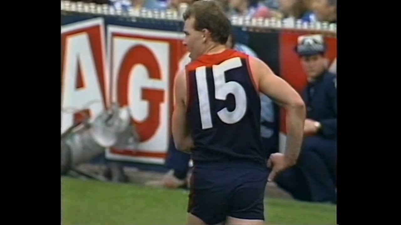 David Williams Melbourne Football Club