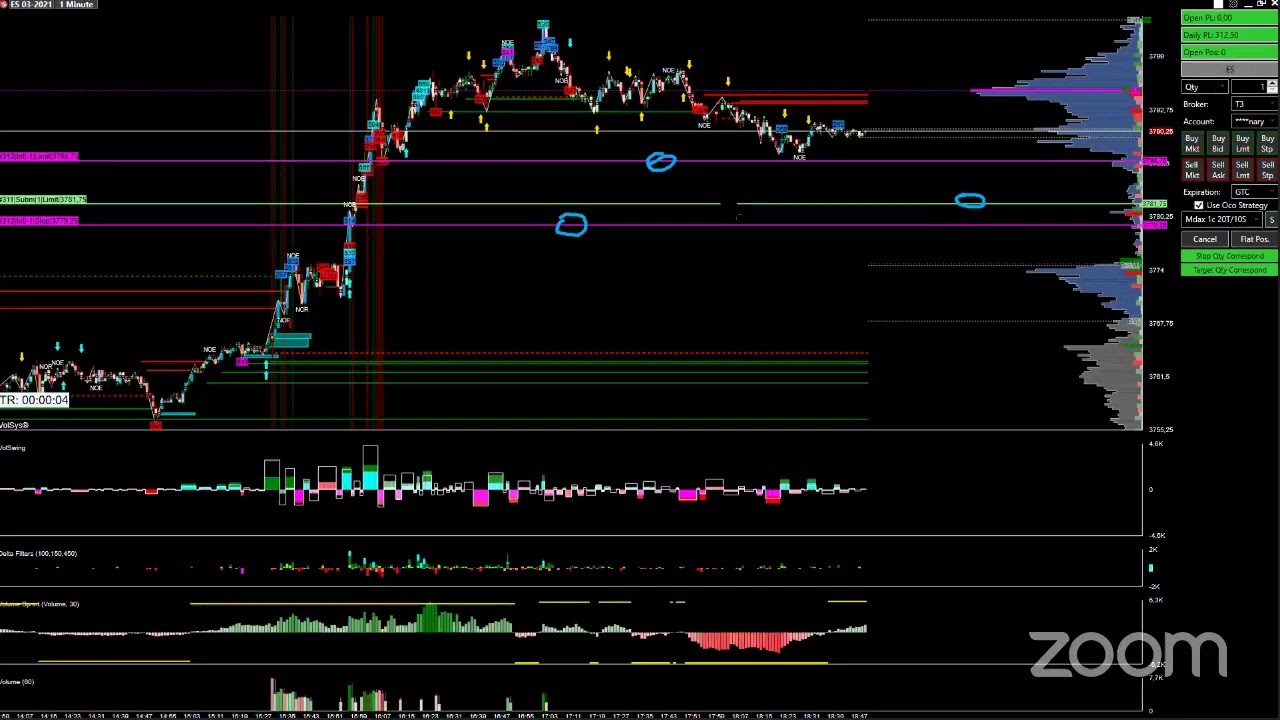 Volumetrica Trading Webinar - YouTube