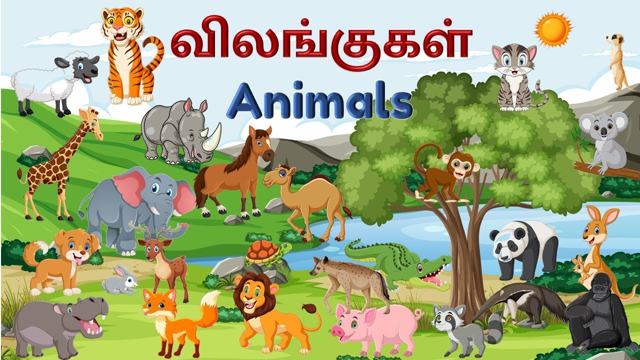 விலங்குகளின் பெயர்கள் | Learn Animal Names in English and Tamil for ...