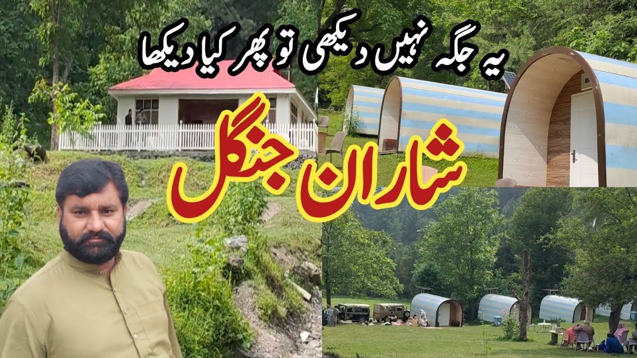 Sharan Forest | visit the most beautiful jungle | Kaghan Valley | Sohna ...