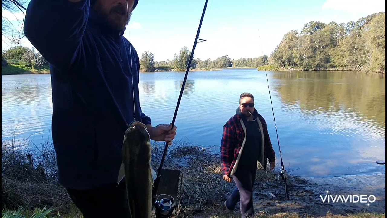 Georges River #5 I Fishing for Mullet. - YouTube