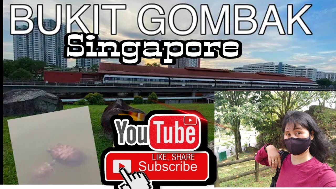 Singapore Bukit Gombak Stadium | Little Guillin Nature Park | @Honeyam ...
