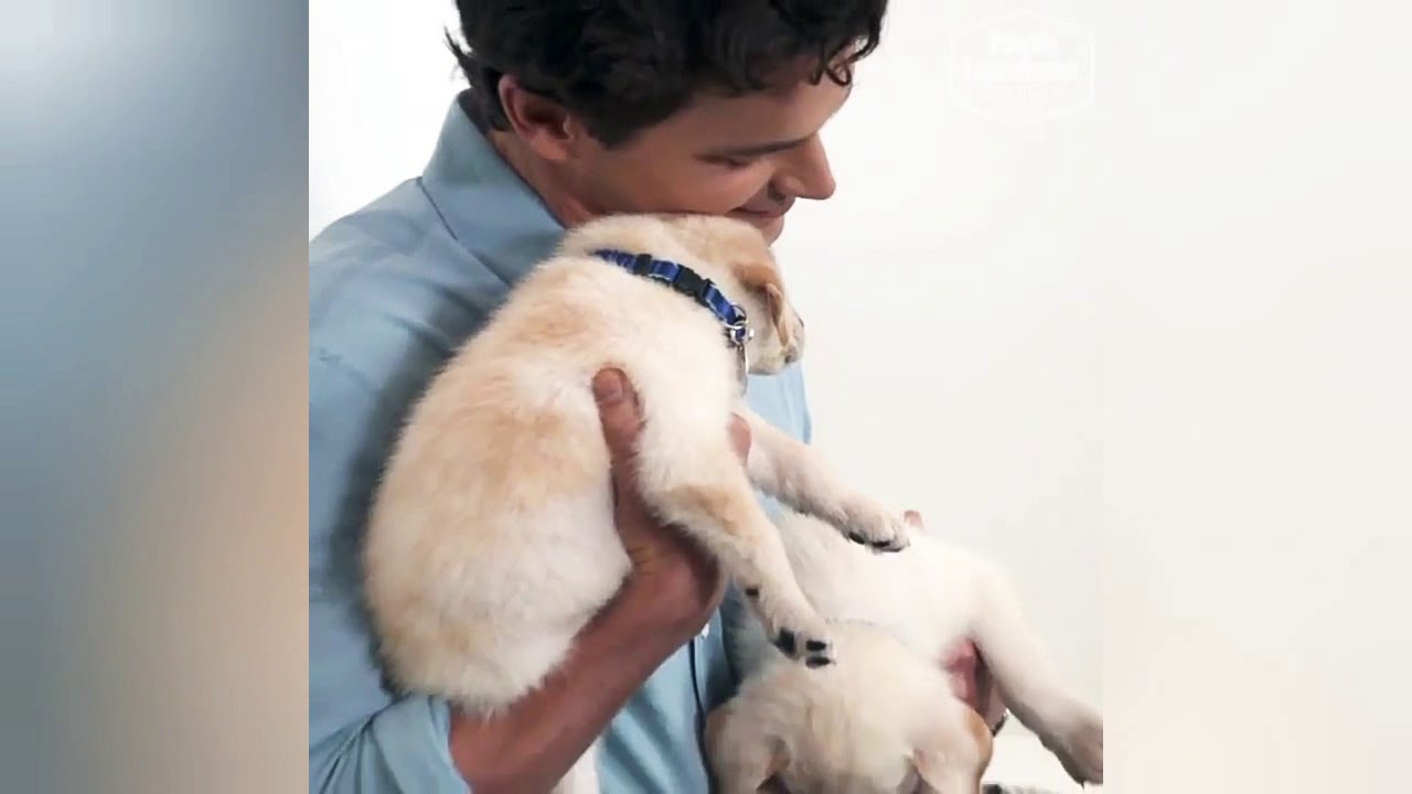 Matt Bomer with Puppies .😍🐶💓 - YouTube