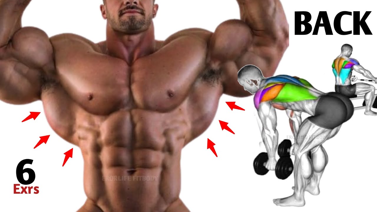 The Broad Back Workout - 6 Best Exercise | ERORLIFE FITBODY - YouTube