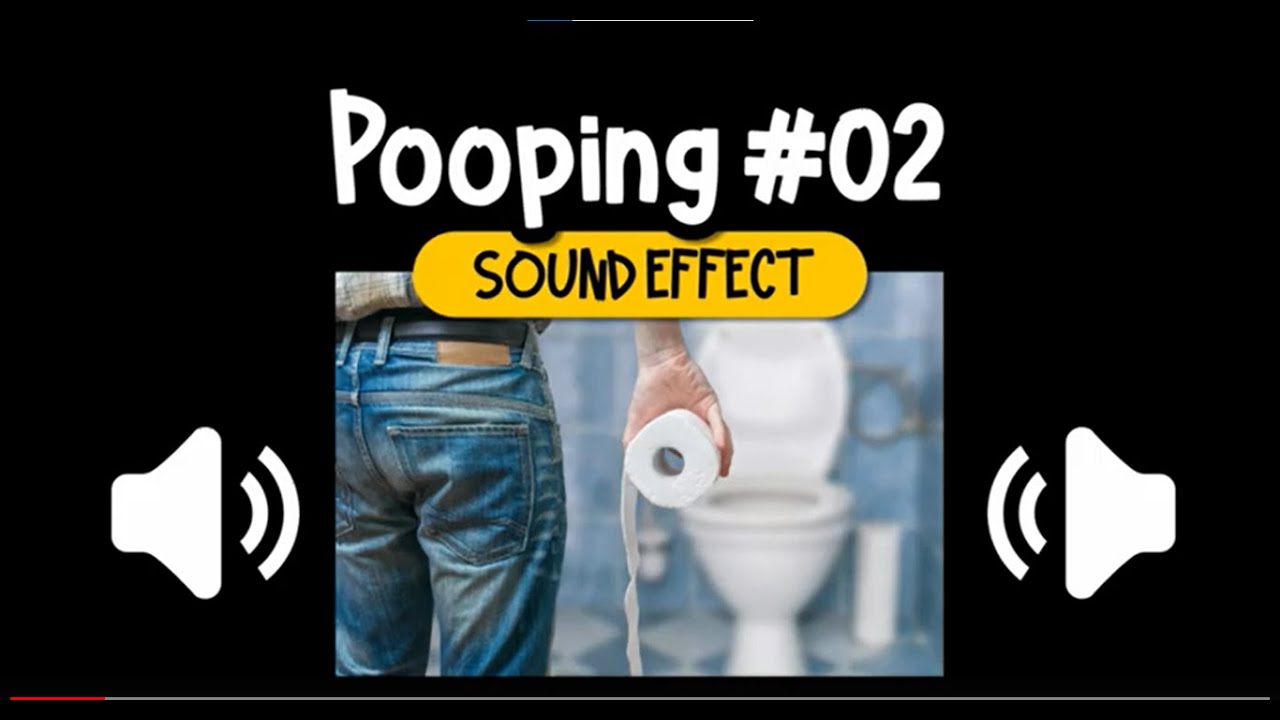 Pooping #02 Sound Effect | 排便 #02 大便 排遗 厕所 音效 (High Quality) - YouTube