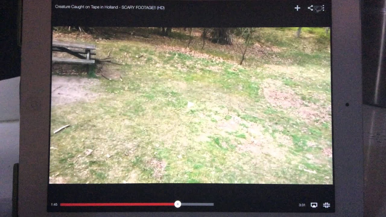 Creature Caught on Tape In Holland - The Evidence It's A Hoax - YouTube