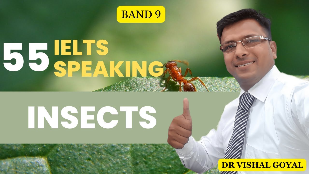 *55 Insects: IELTS Speaking Part 1 Topics with Sample Answers #ielts # ...