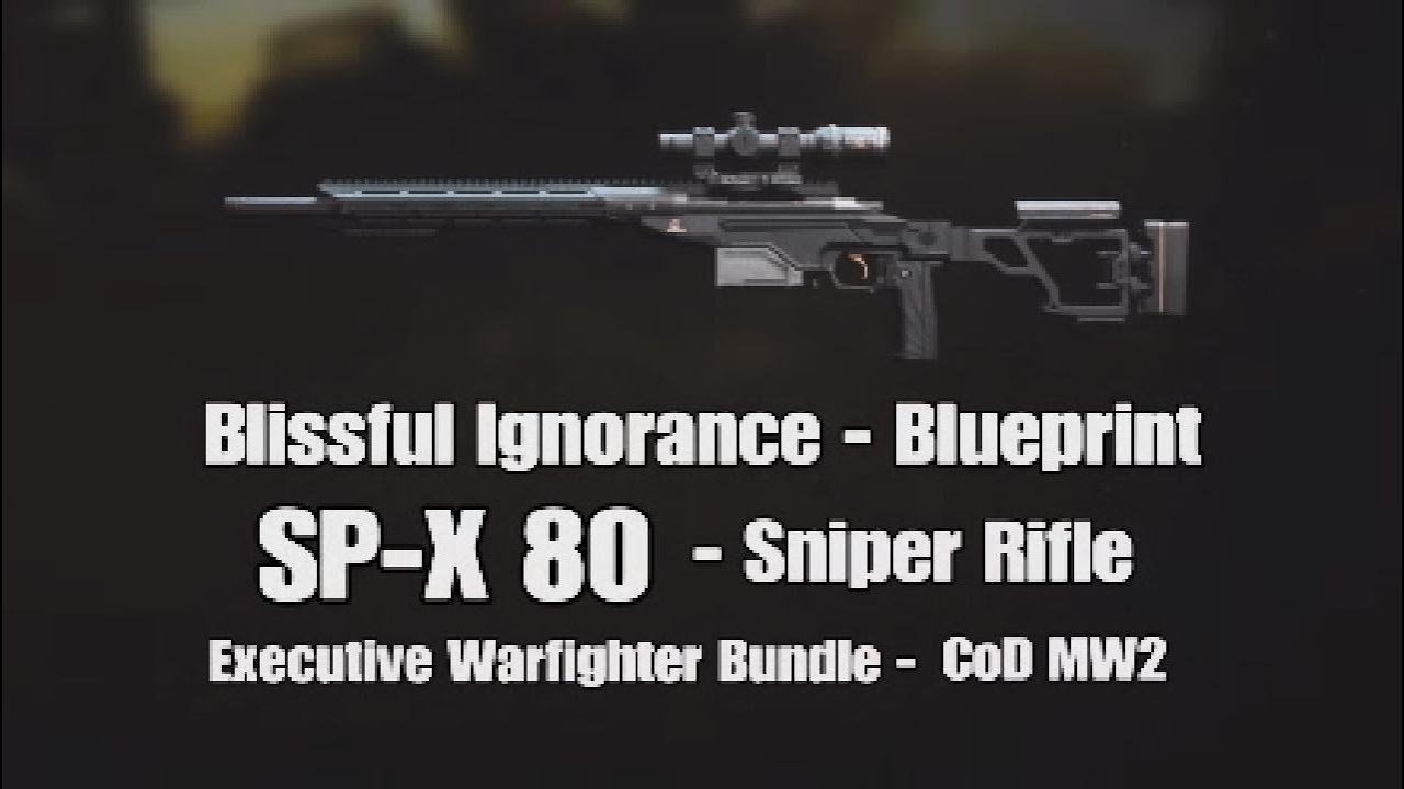 Blissful Ignorance Blueprint - SP-X 80 Sniper Rifle - (Executive ...
