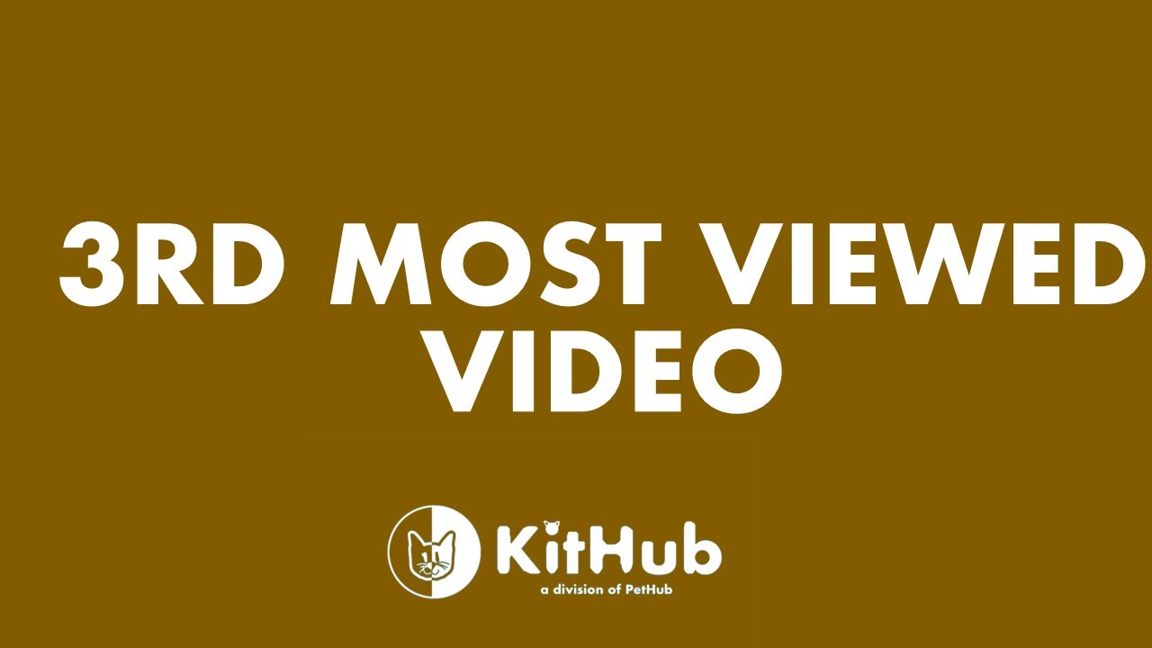 KITHUB YTP: Meow Mix's Psychotic Seizure - YouTube