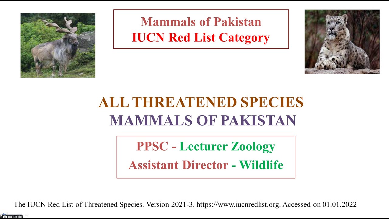 Mammals of Pakistan in IUCN - YouTube
