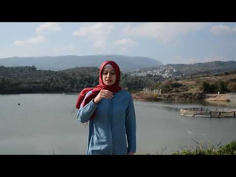 Elif KOÇAK-(Tarkan - Beni Çok Sev)- Türk İşaret Dili