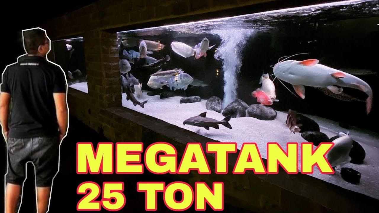Mengenang Megatank 25Ton Pekanbaru By: Giovandi Suhendi - YouTube