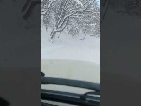 Şamaxı Ərçiman Kend yolu