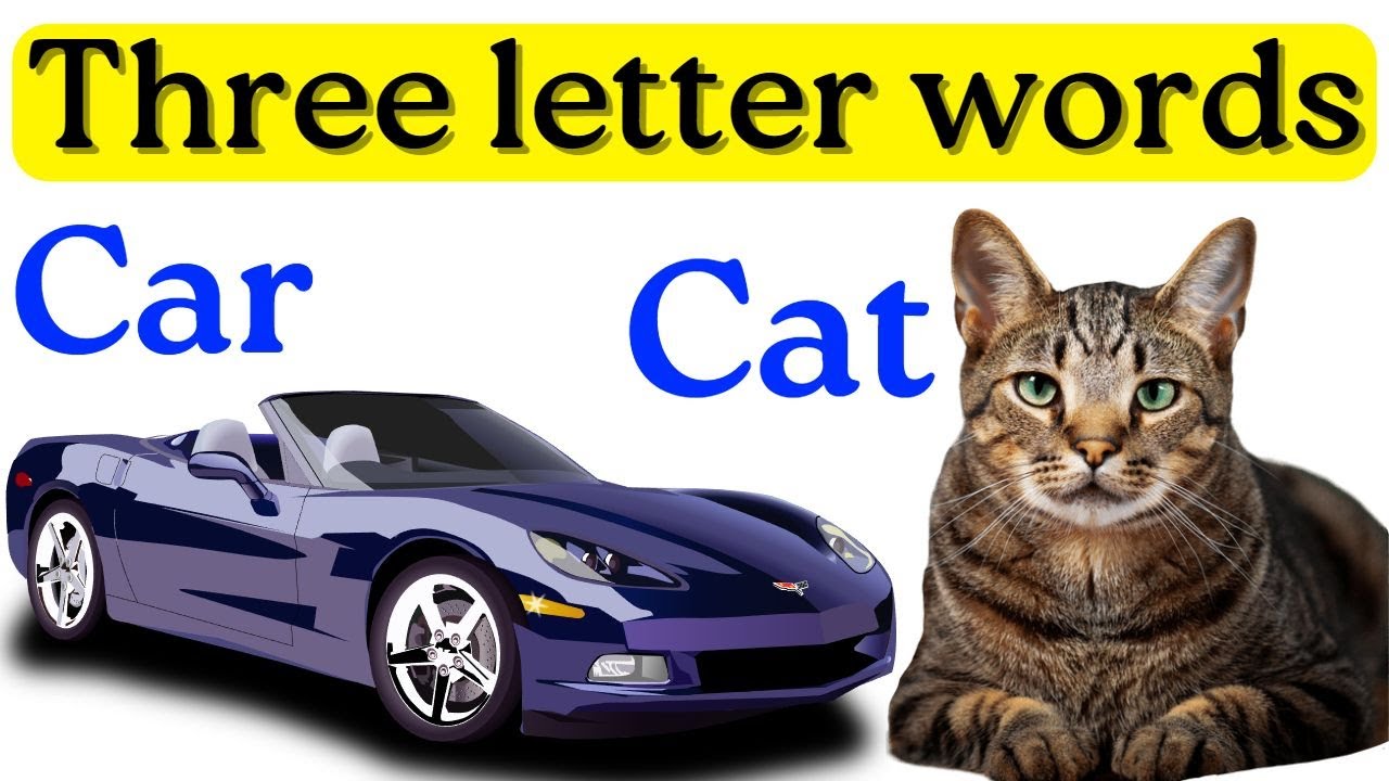 Three Letter Words in English/3 Letter Words in English l Three Letter ...